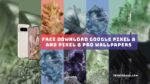 Free Download Google Pixel 8 And Pixel 8 Pro Wallpapers [4K] - TechFoogle